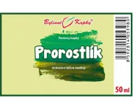 Przewiercień (TCM) - ziołowe krople (nalewka) 50 ml | Krople ziołowe